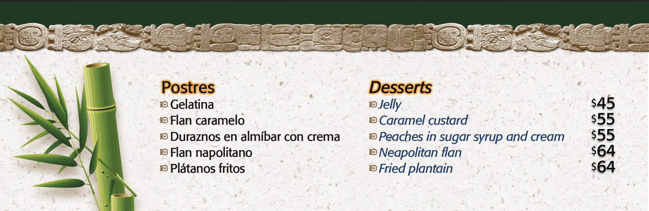 Palenque Magico travel agency in Chiapas